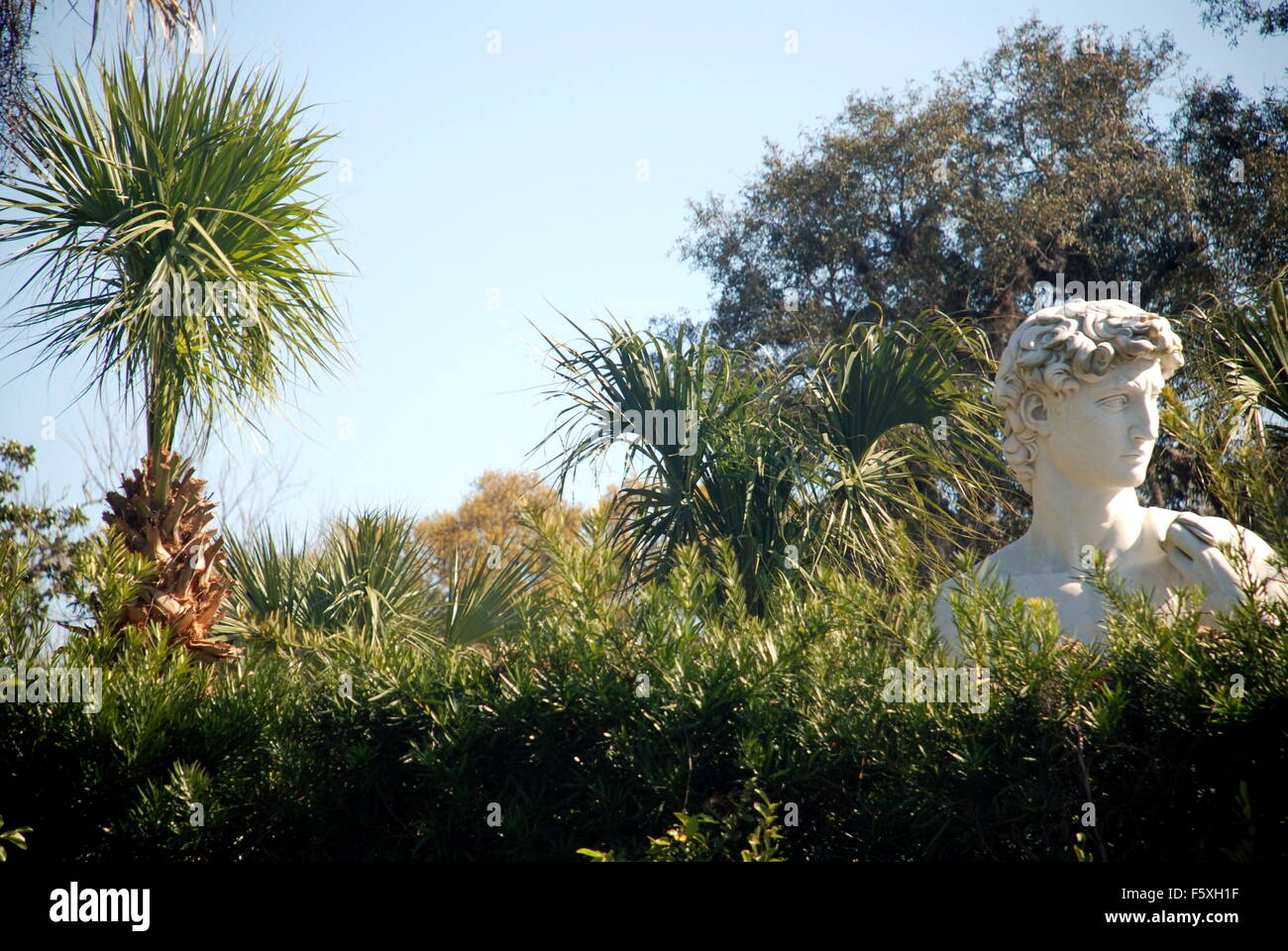 Statue Of David Stock Photo - Alamy