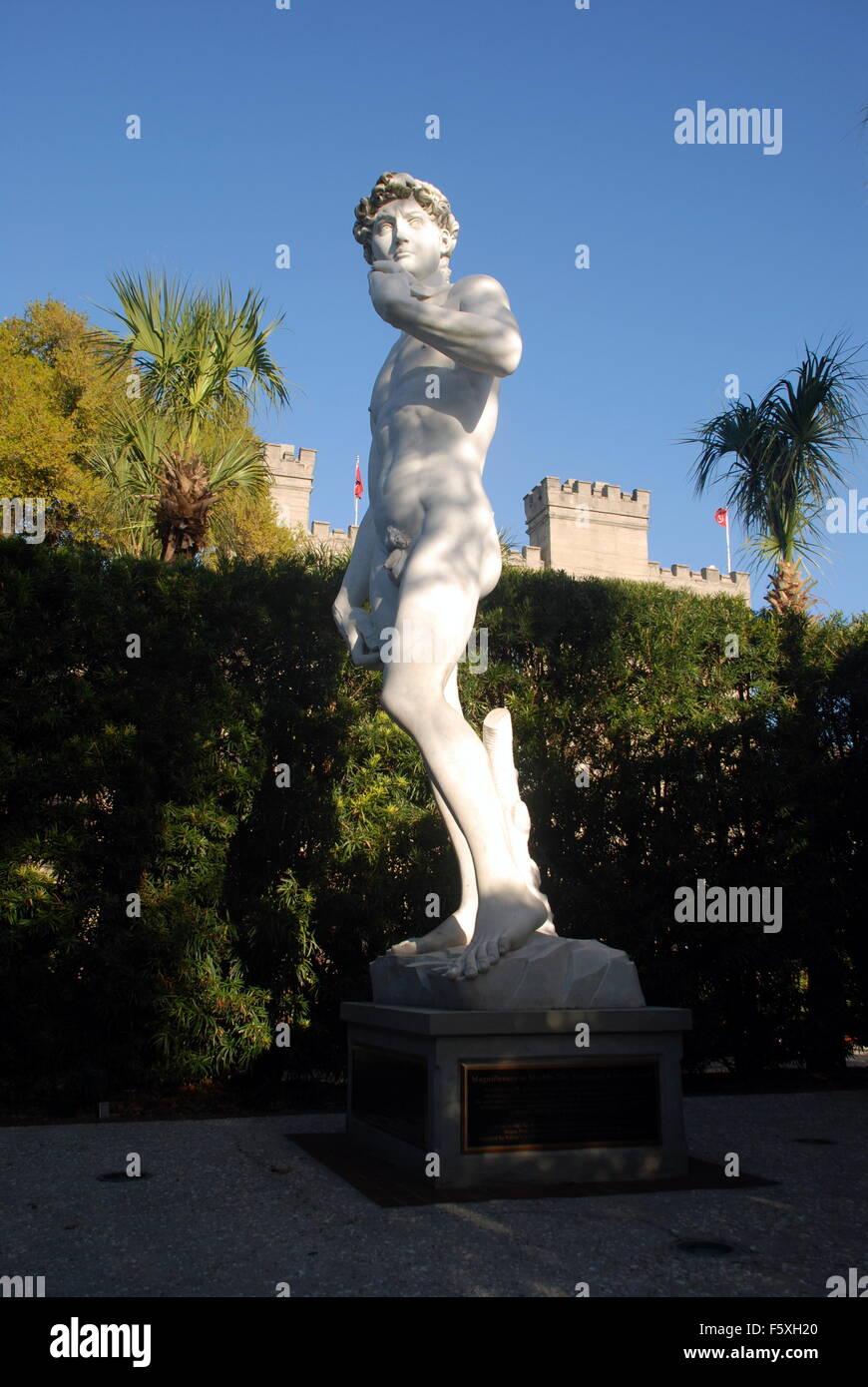 St david statue hi-res stock photography and images - Alamy