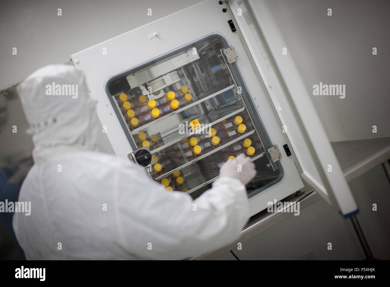 (151110) -- MEXICO CITY, Nov. 10, 2015 (Xinhua) -- Image taken on Nov ...