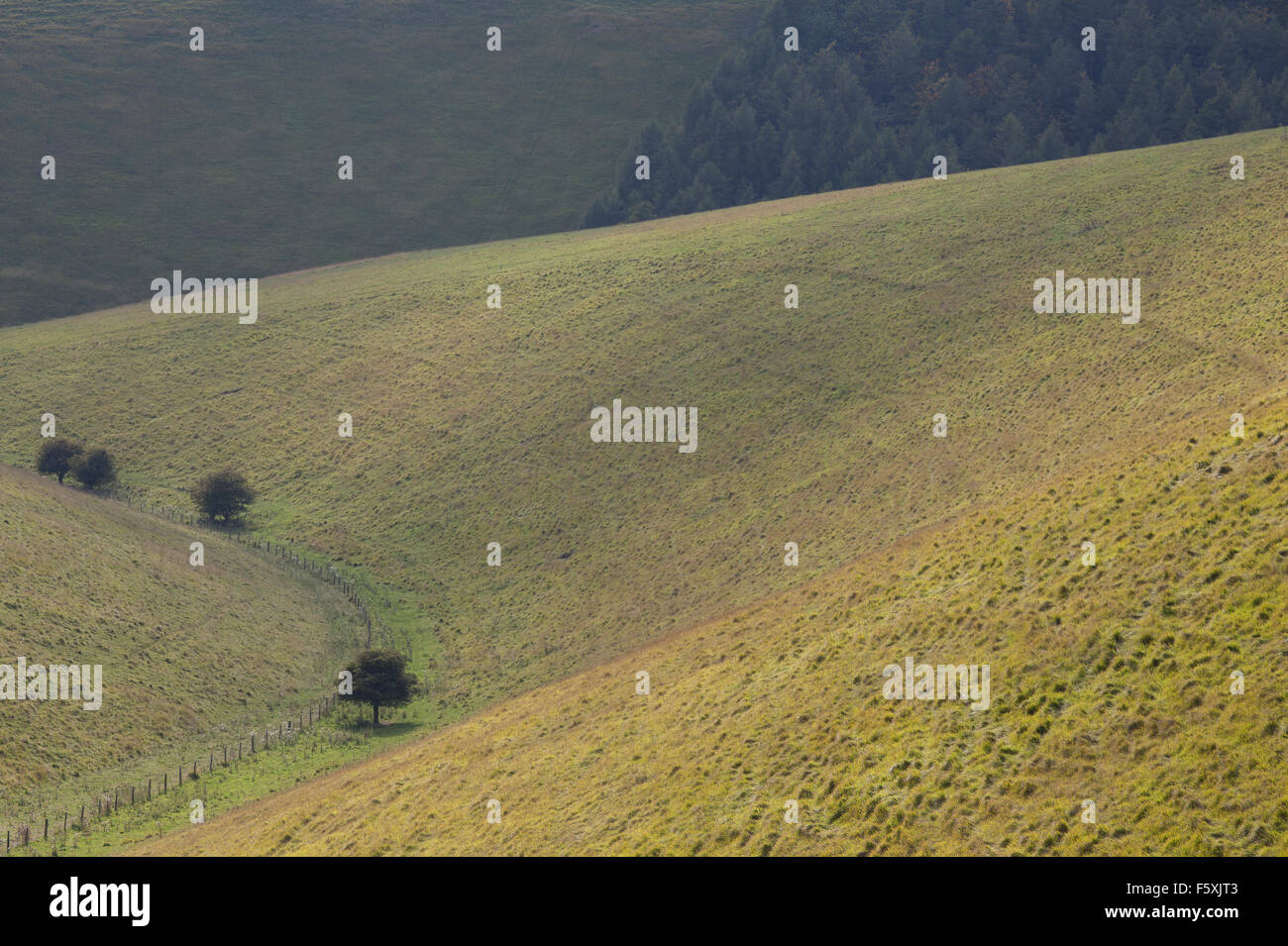 View down Frendal Dale near Huggate in the Yorkshire Wolds, East ...