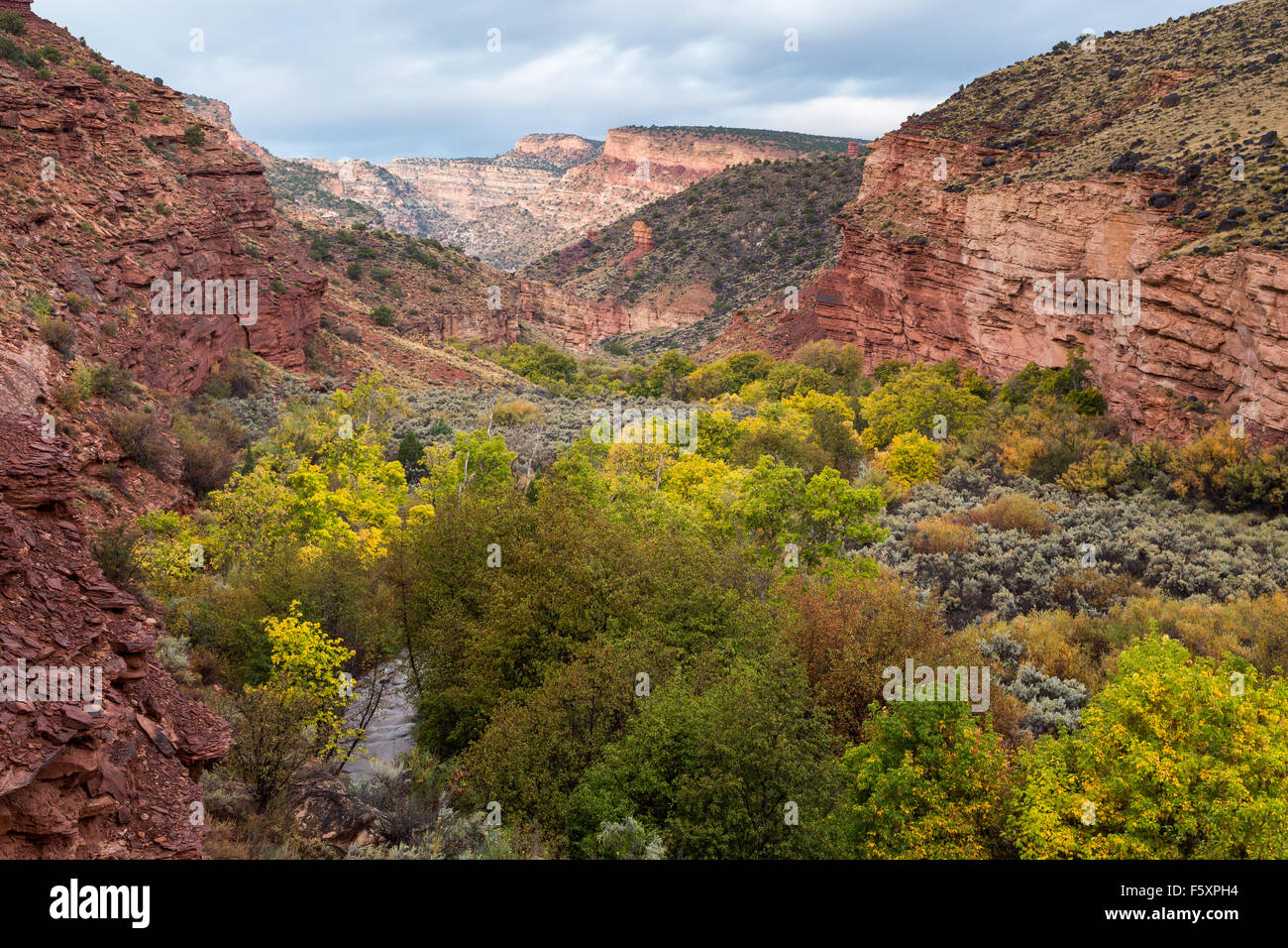 Desert fall colors hi-res stock photography and images - Alamy
