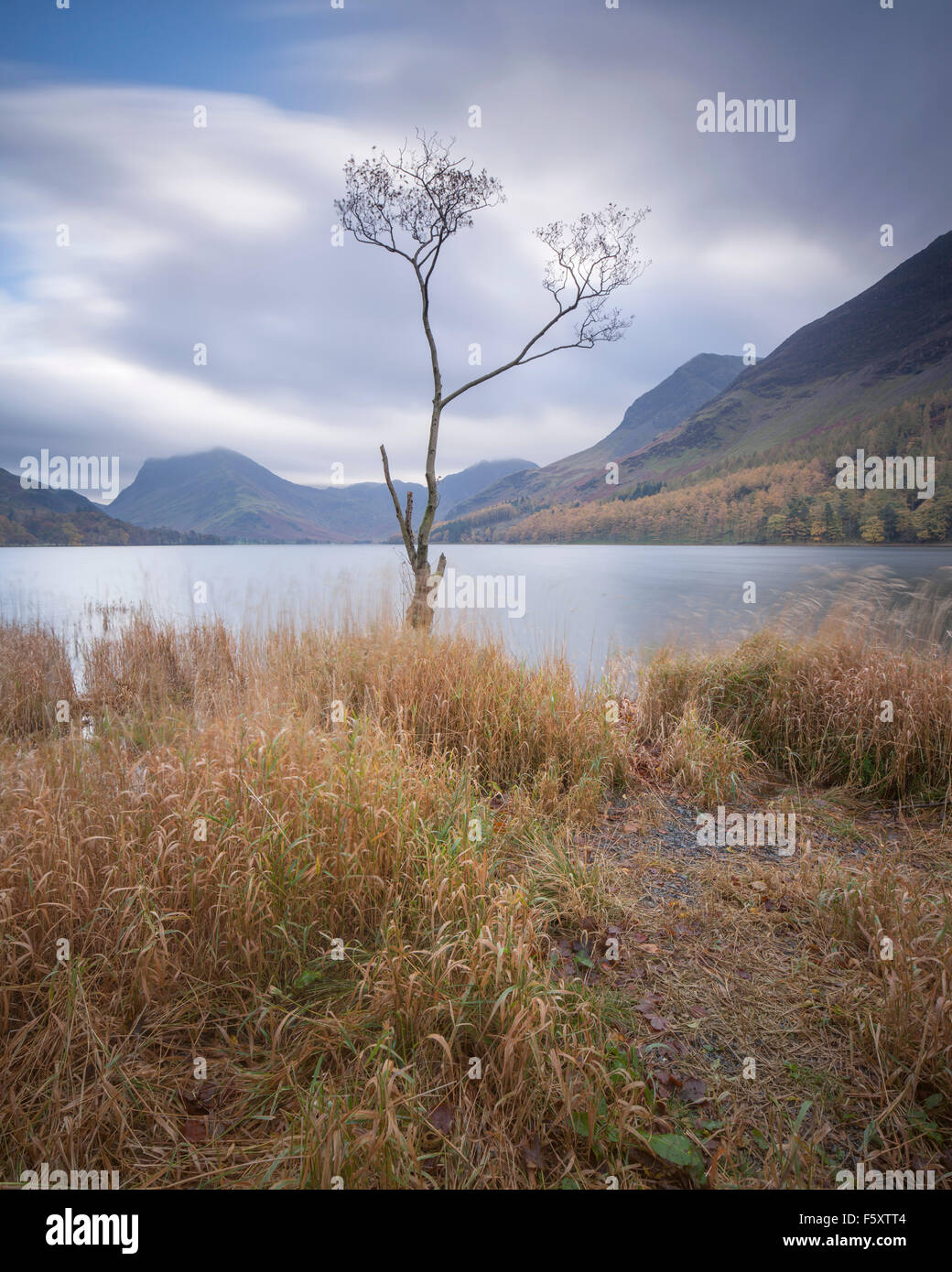Buttermere reflection autumn hi-res stock photography and images - Alamy