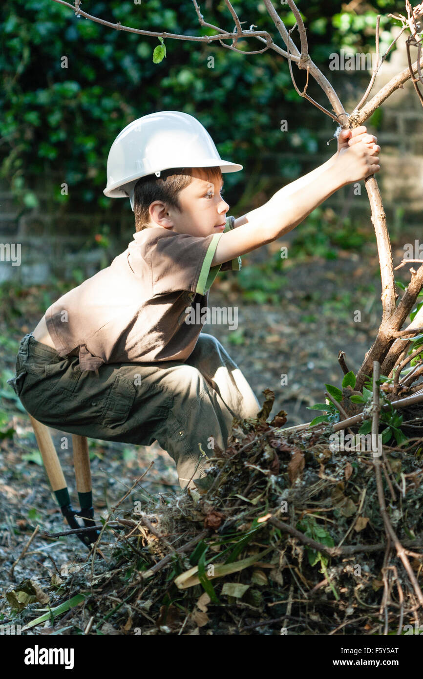 Tree struggling hi-res stock photography and images - Alamy