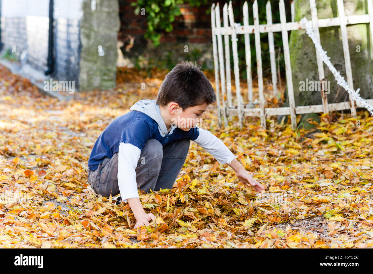 Eight year old crouching down hi-res stock photography and images - Alamy