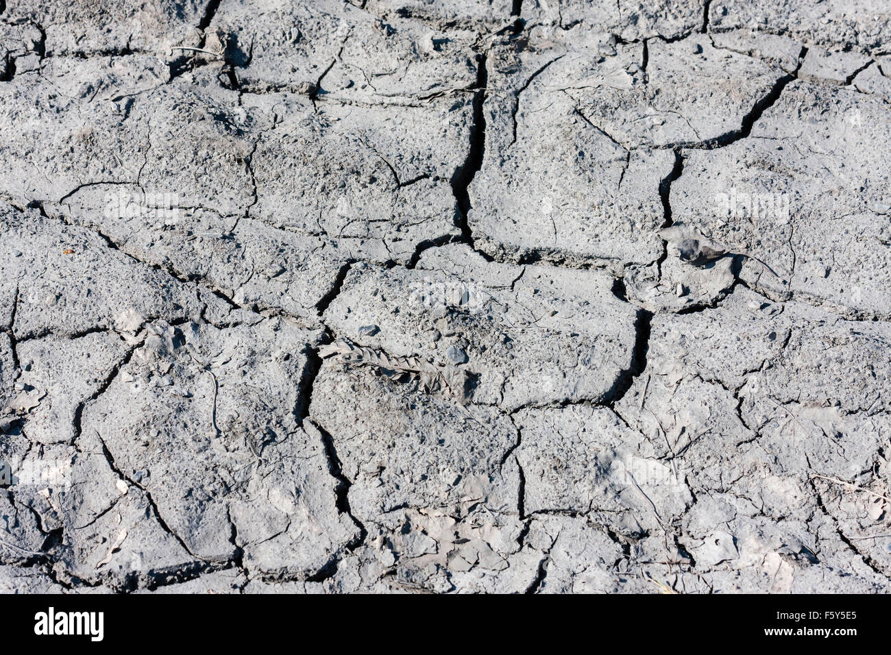 Sun baked soil hi-res stock photography and images - Alamy