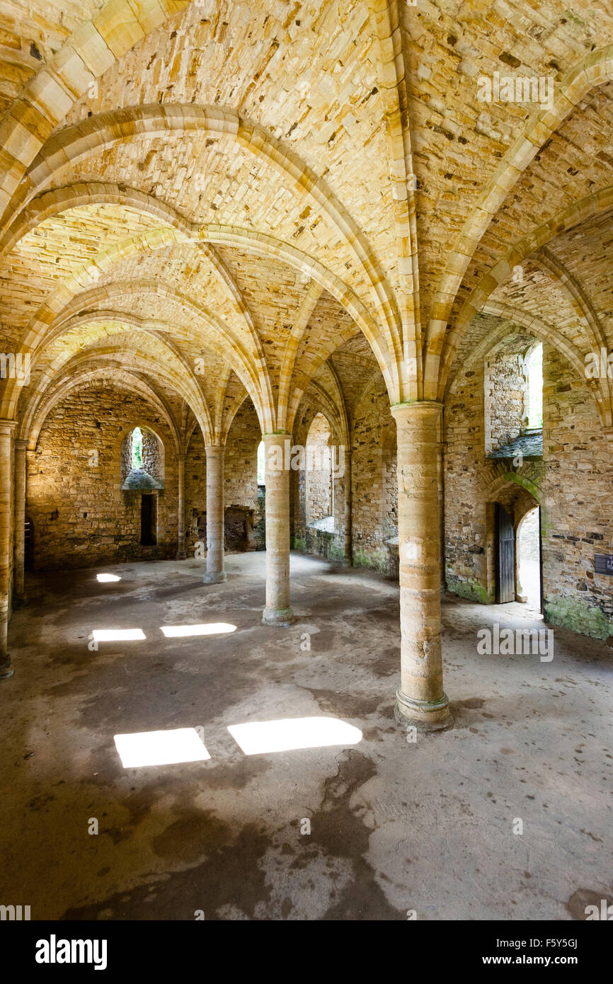 England, Hastings, Battle Abbey. Interior of the vaulted chamber under ...