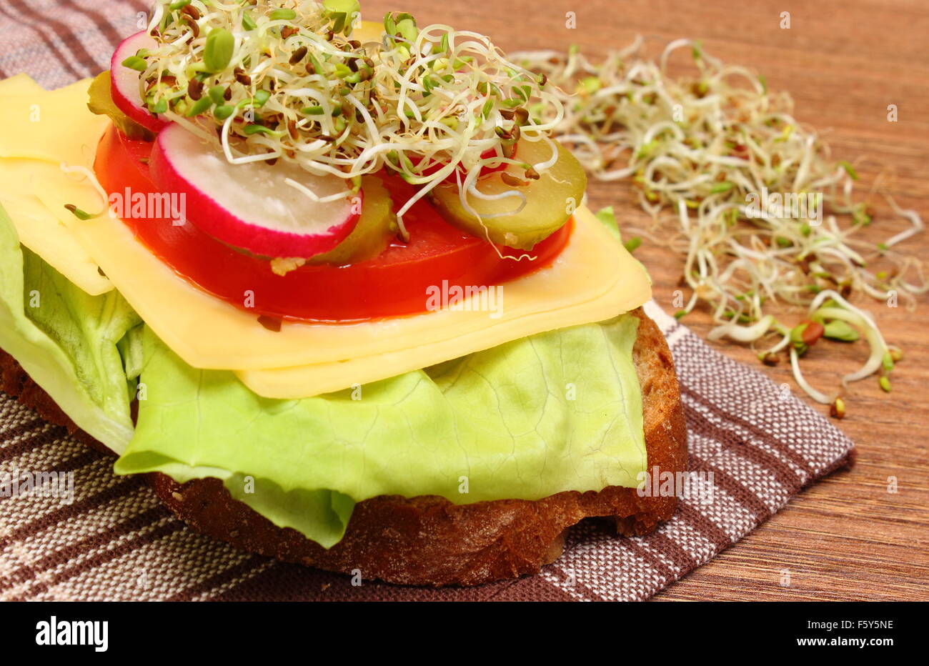 Freshly prepared vegetarian sandwich with alfalfa and radish sprouts ...