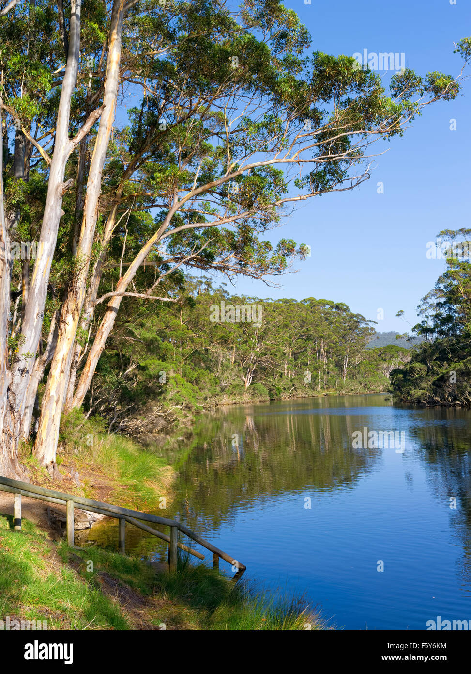 Denmark River Western Australia in Denmark Southwest WA Blue, Gum Trees ...