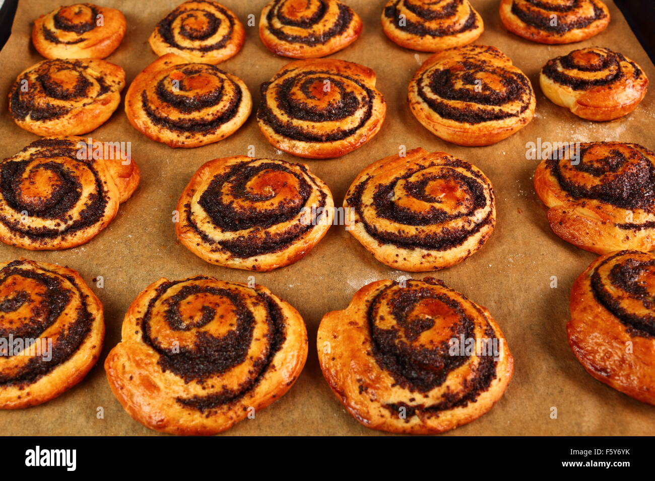 Freshly Baked. Making Poppy Seed Snail. Sweet Roll Bun Stock Photo - Alamy