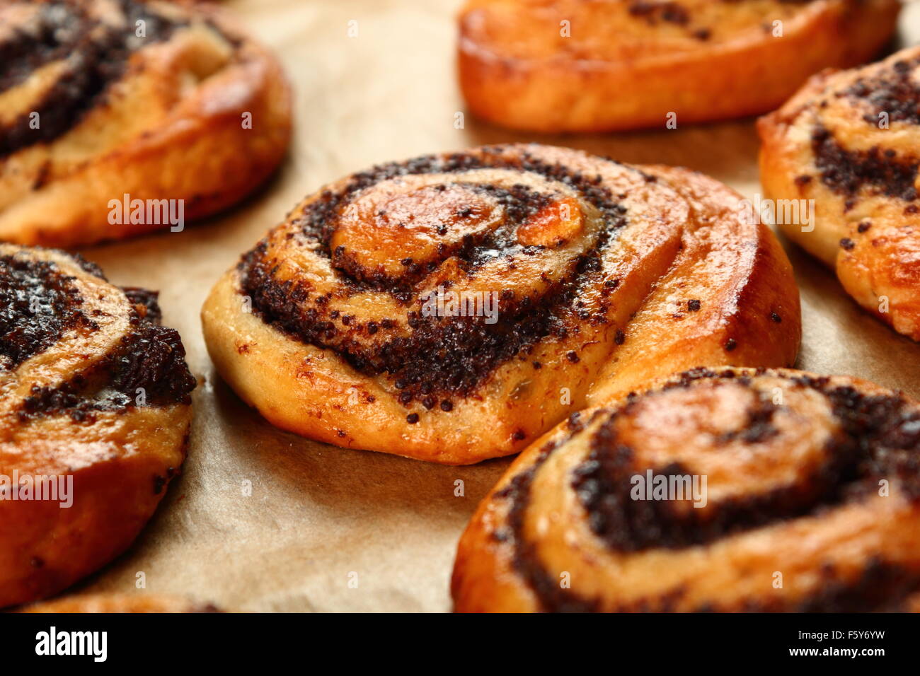 Freshly Baked. Making Poppy Seed Snail. Sweet Roll Bun Stock Photo - Alamy