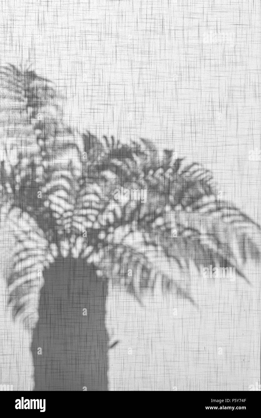 Silhouette on blinds hi-res stock photography and images - Alamy