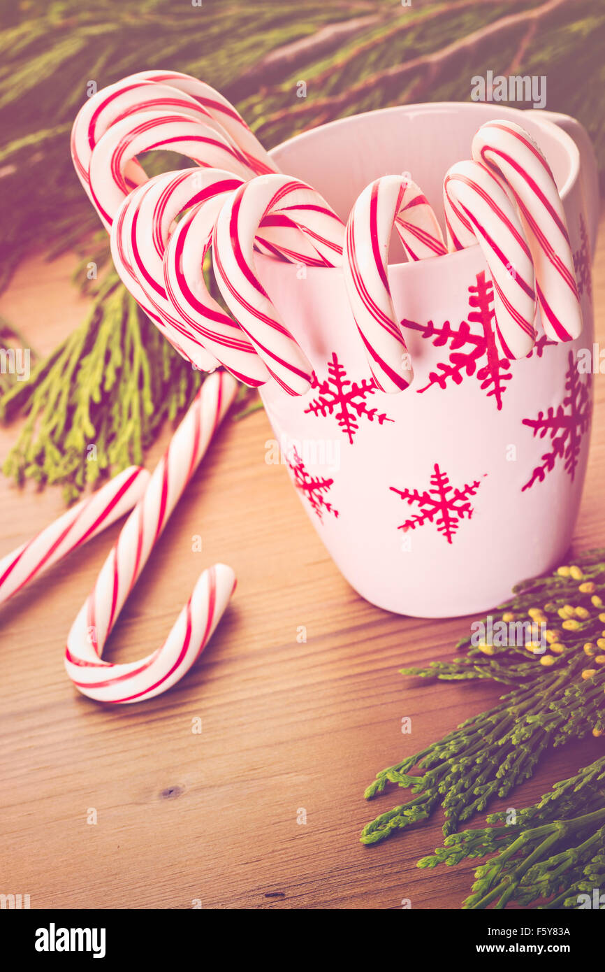 Traditional candycanes on wood table with live evergreen branches Stock ...