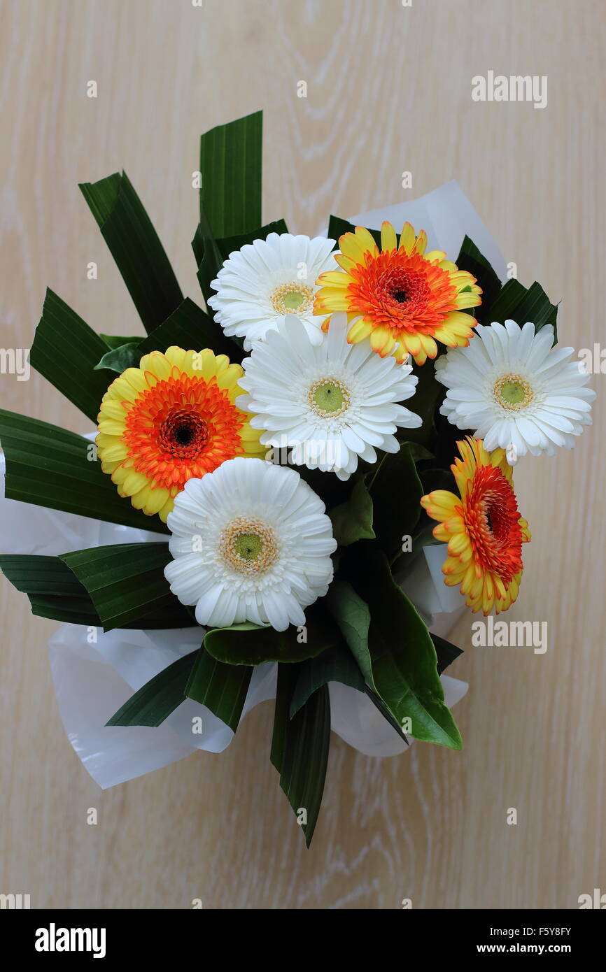 Bouquet of Gerbera flowers Stock Photo - Alamy