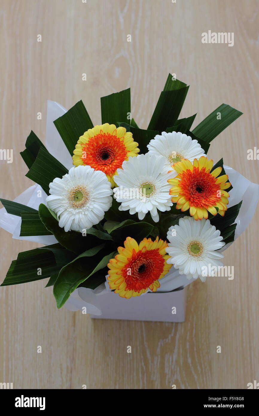 Bouquet of gerbera hi-res stock photography and images - Alamy
