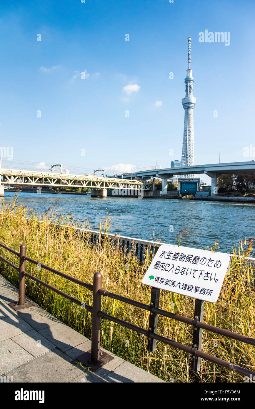 Biotope, near Tobu Line Sumida River bridge,Sumida river,Tokyo,Japan ...