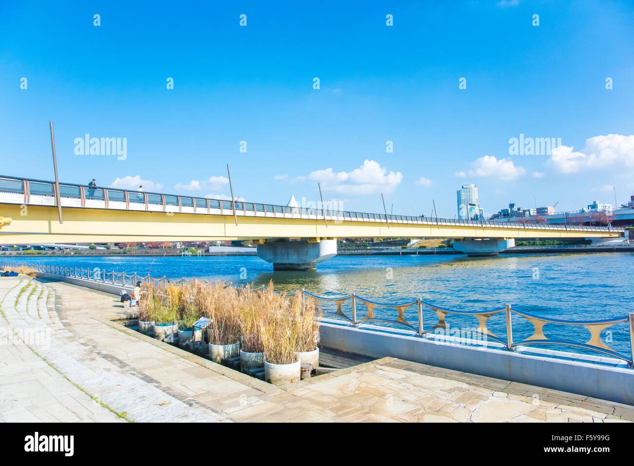 Sakurabashi Bridge ,Sumida River,Tokyo,Japan Stock Photo - Alamy