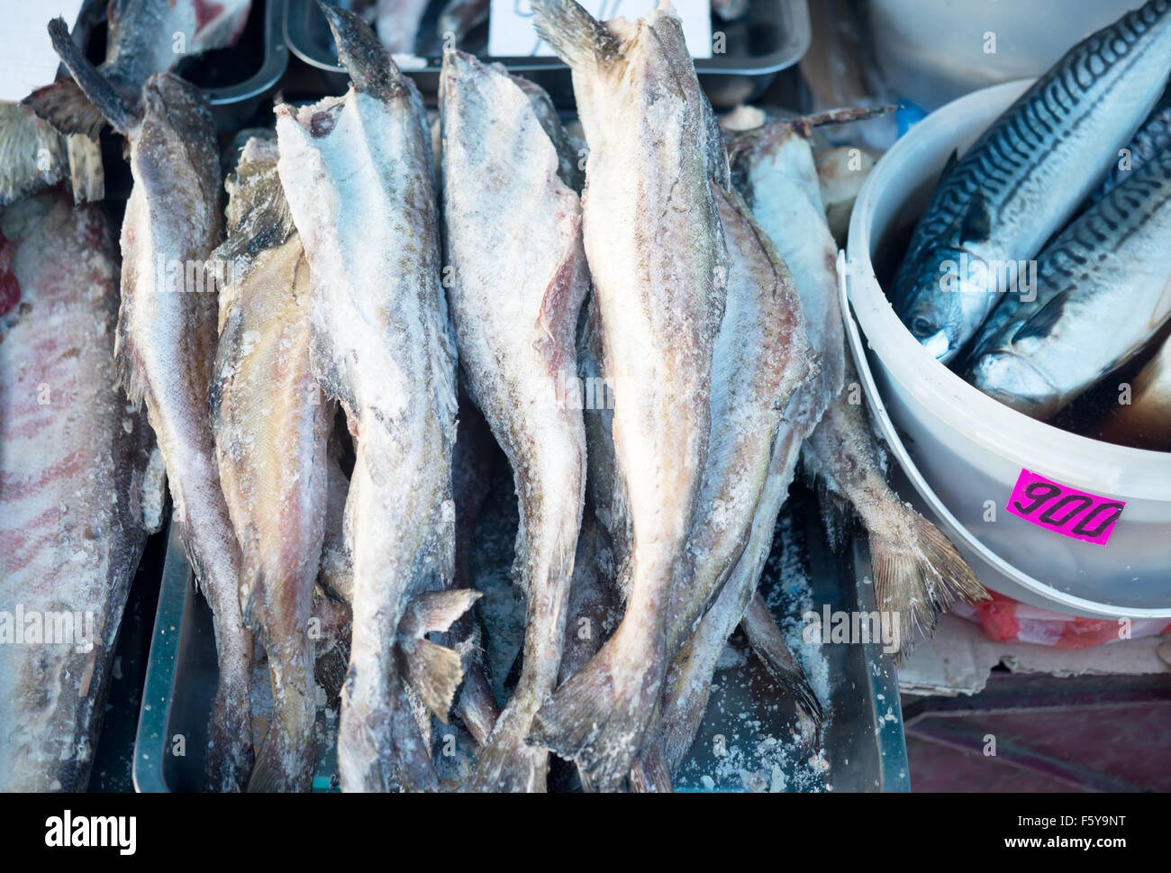 frozen and salt fish at a market Stock Photo - Alamy