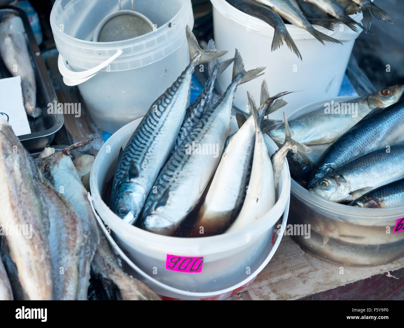 raw and salt fish at a market Stock Photo - Alamy