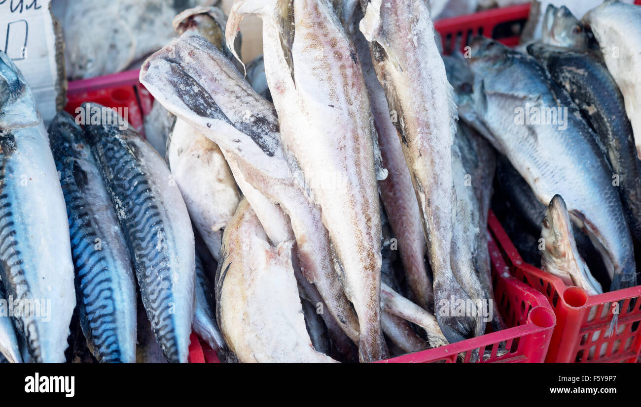 fresh fish at a market Stock Photo - Alamy