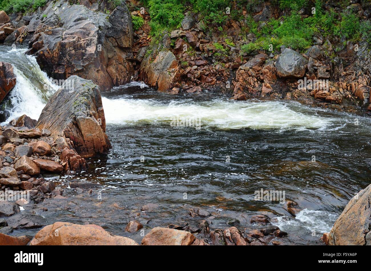 fast flowing salmon river in the arctic circle wilderness in summertime ...
