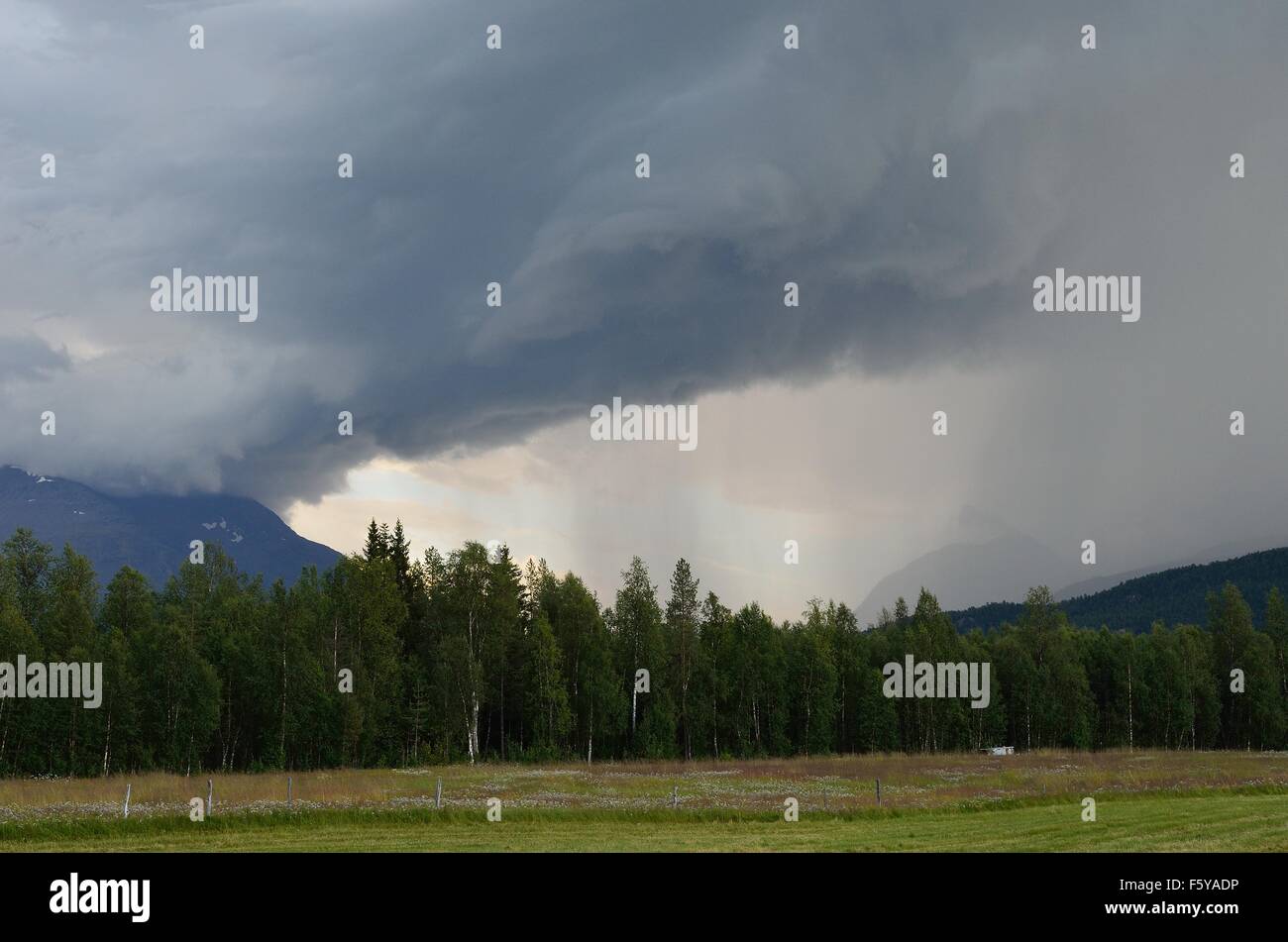 heavy rain weather in summer coming in over mountain and forest Stock ...