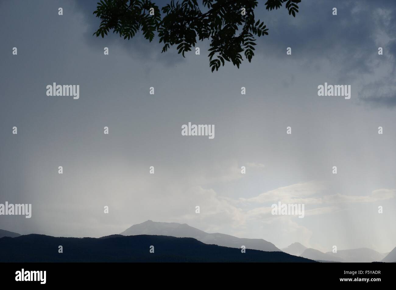 heavy rain weather in summer coming in over mountain and forest Stock ...