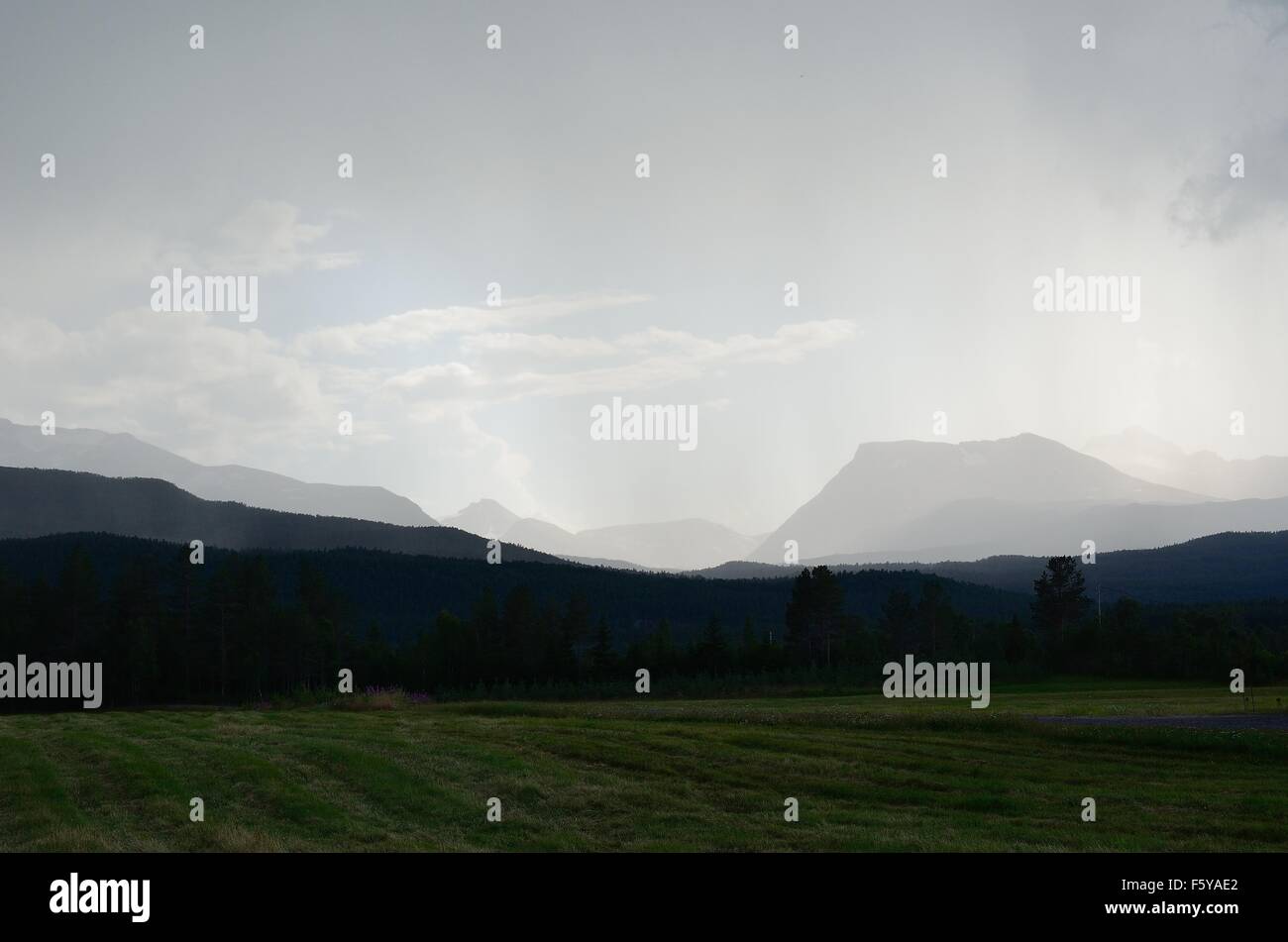 heavy rain weather in summer coming in over mountain and forest Stock ...