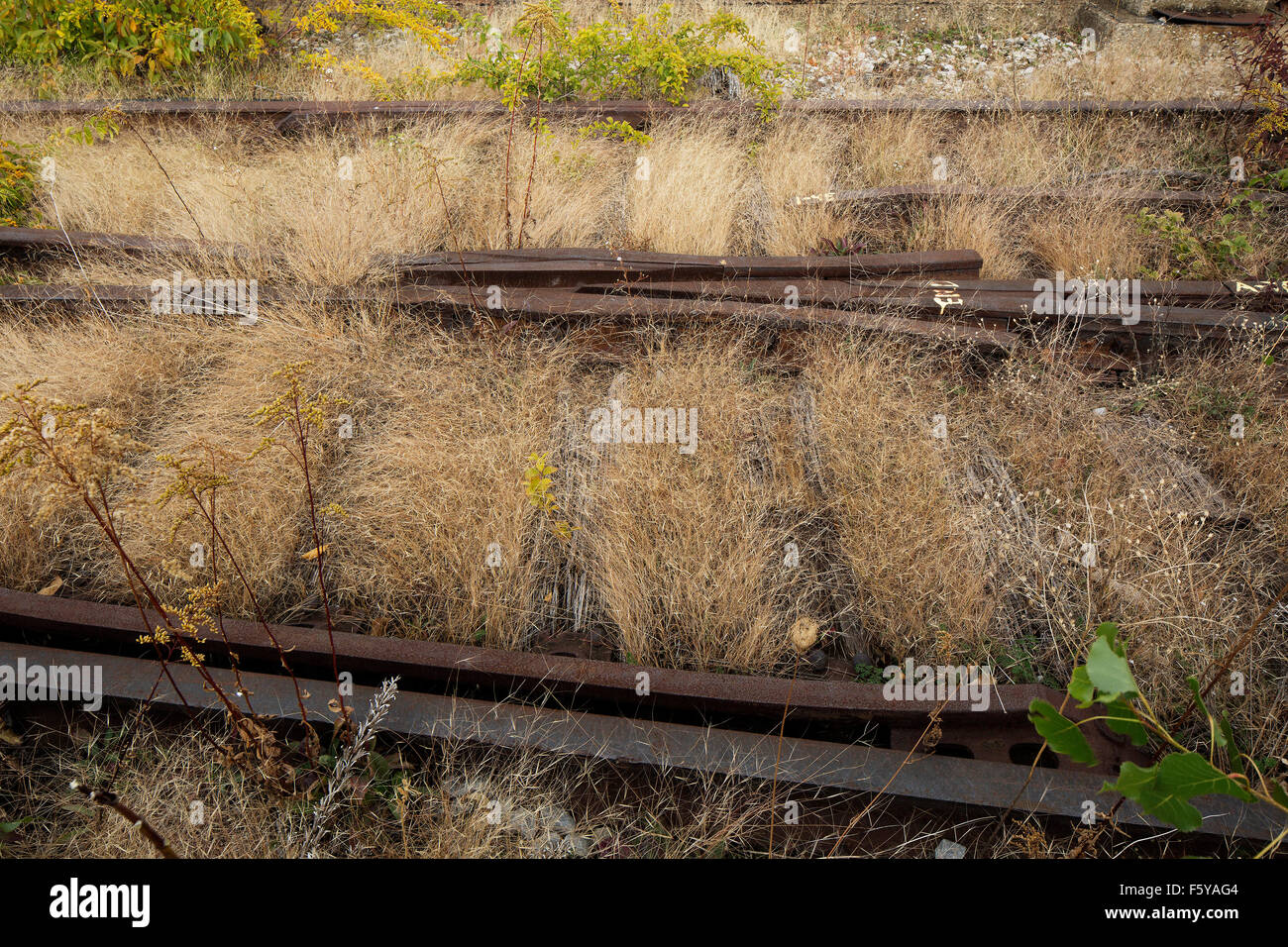 View of old rail tracks on the High Line. The High Line 3rd Phase ...