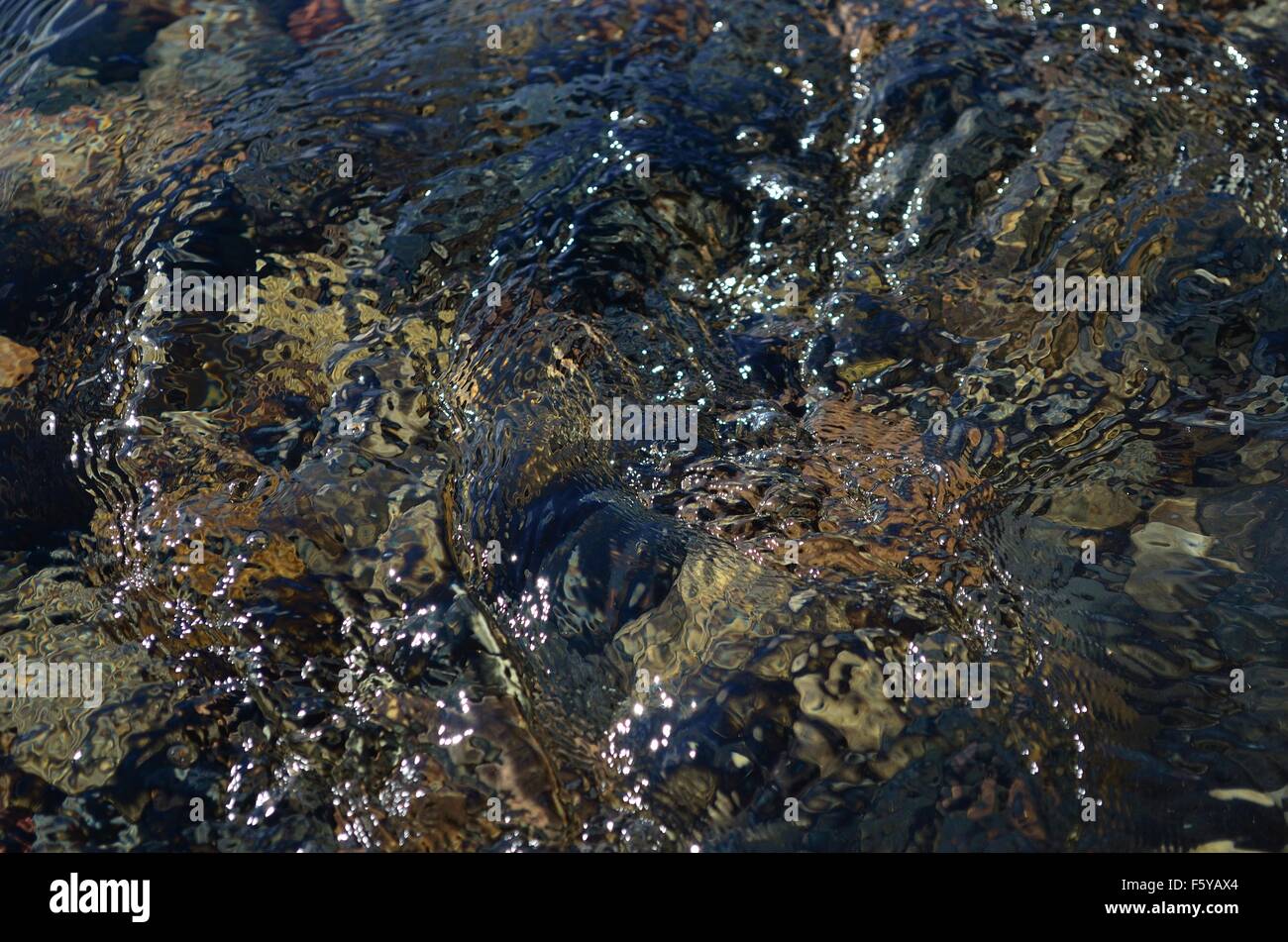 bubbly clean river water flow in summer sunshine macro photo Stock ...