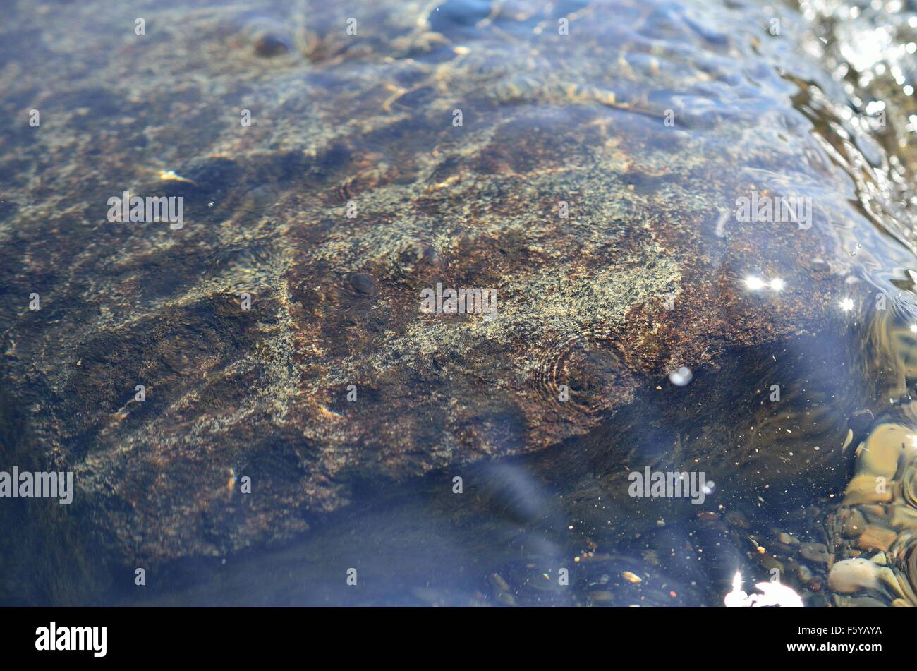 river flow shapes macro Stock Photo - Alamy