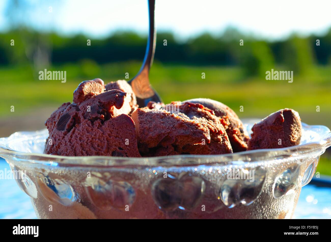 Belgian chocolate ice cream hi-res stock photography and images - Alamy