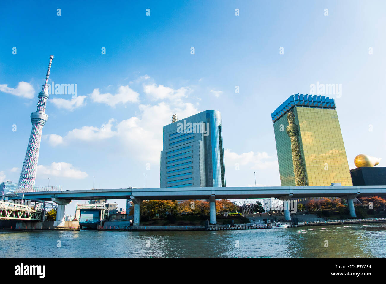 Tokyo Skytree and Asahi beer building,Tokyo,Japan Stock Photo - Alamy