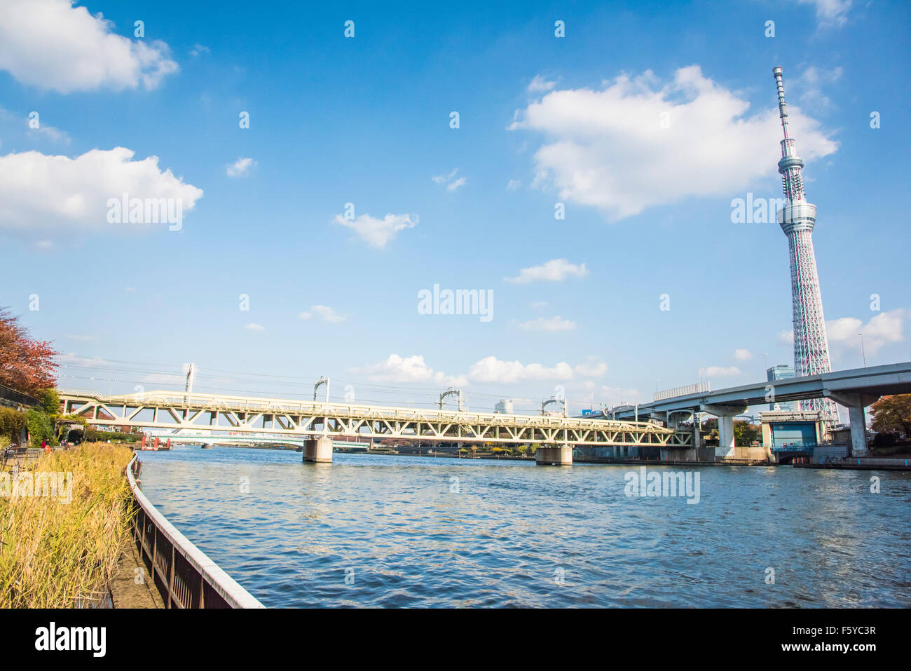 Tobu Line Sumida River bridge,Sumida river,Tokyo,Japan Stock Photo - Alamy