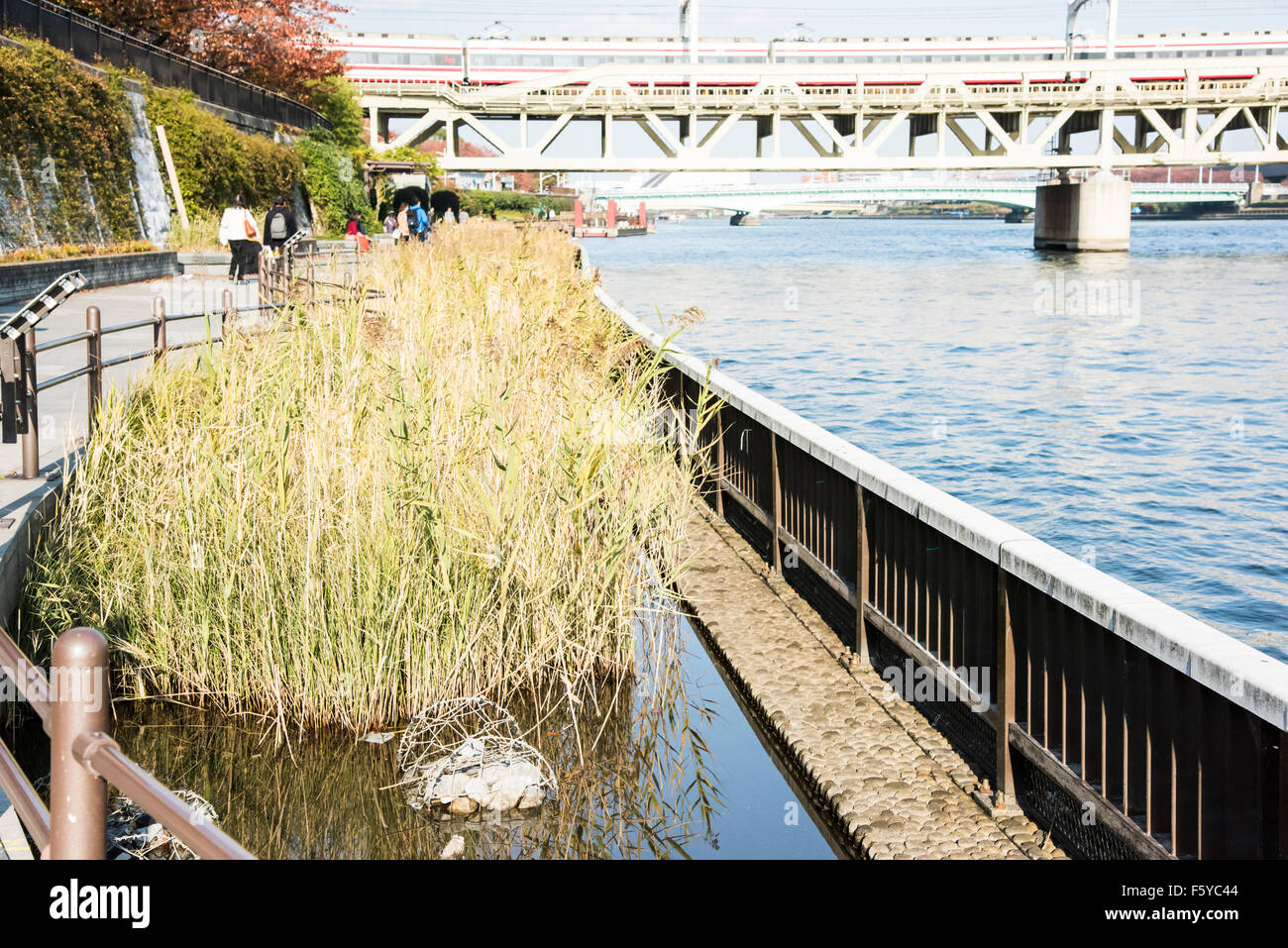 Tobu Line Sumida River bridge,Sumida river,Tokyo,Japan Stock Photo - Alamy