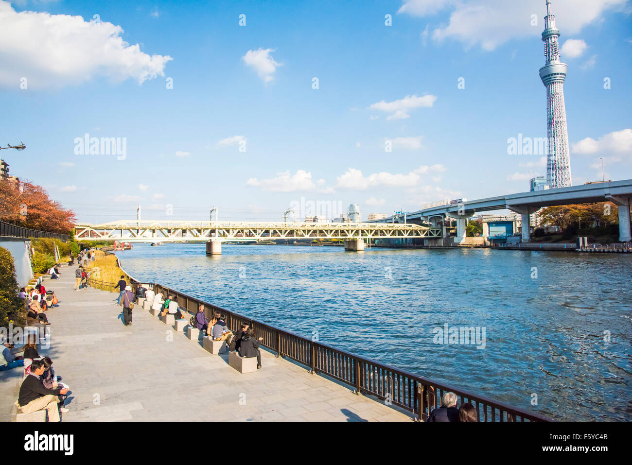 Tobu Line Sumida River bridge,Sumida river,Tokyo,Japan Stock Photo - Alamy