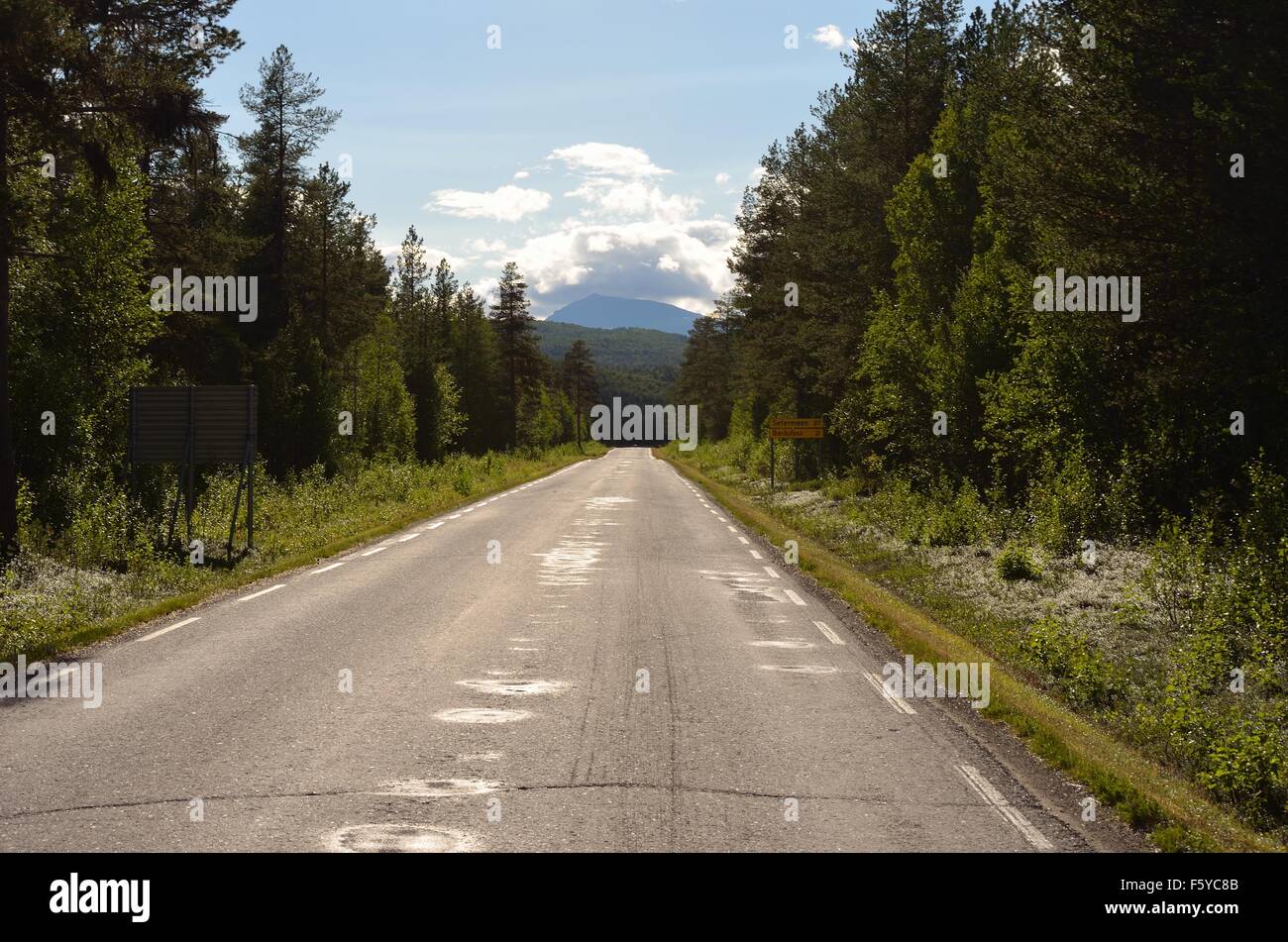 long lonesome straight tarmac road going through dense forest in summer ...