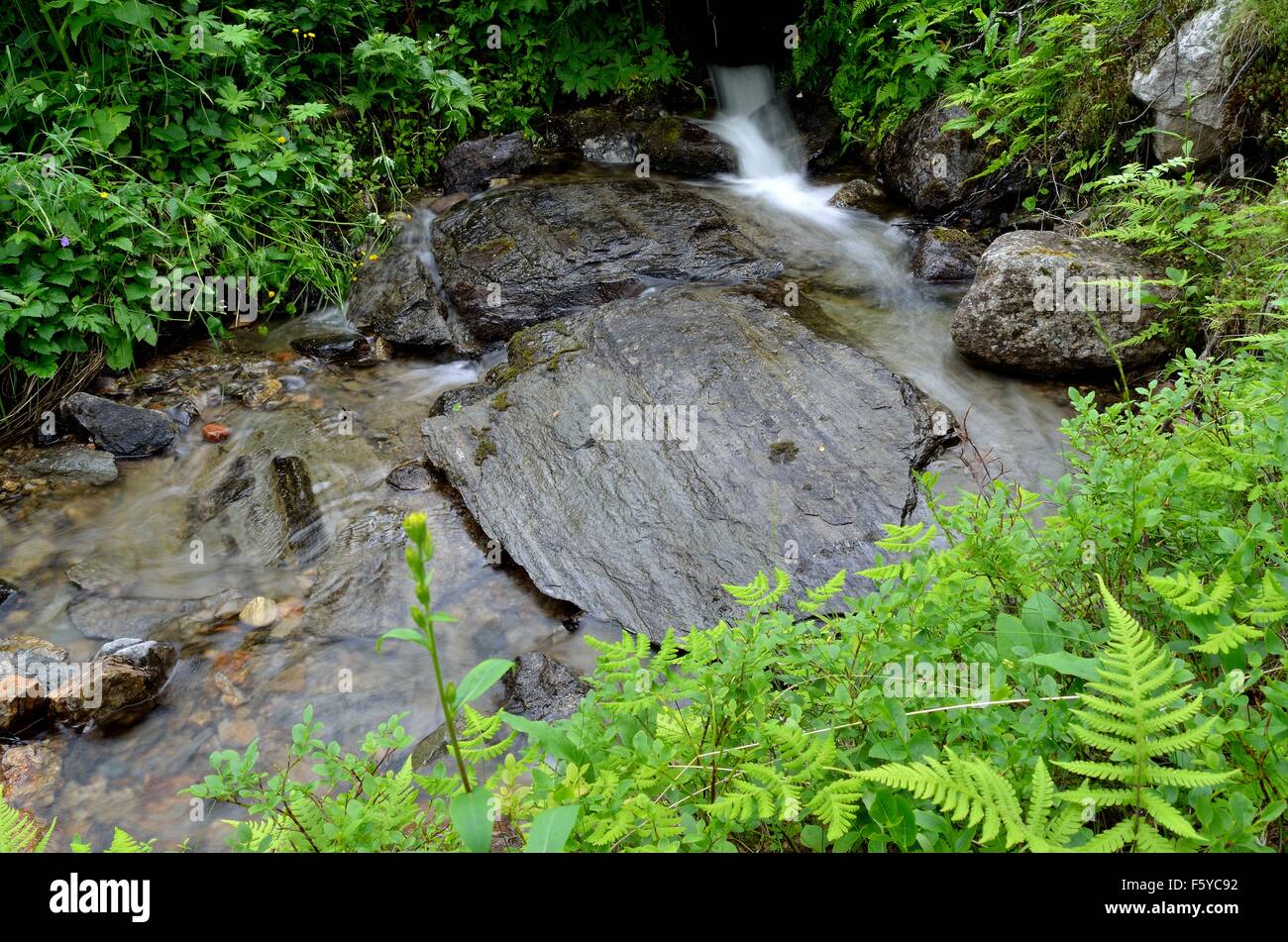 clean mountain creek water flowing over slippery rocks Stock Photo - Alamy