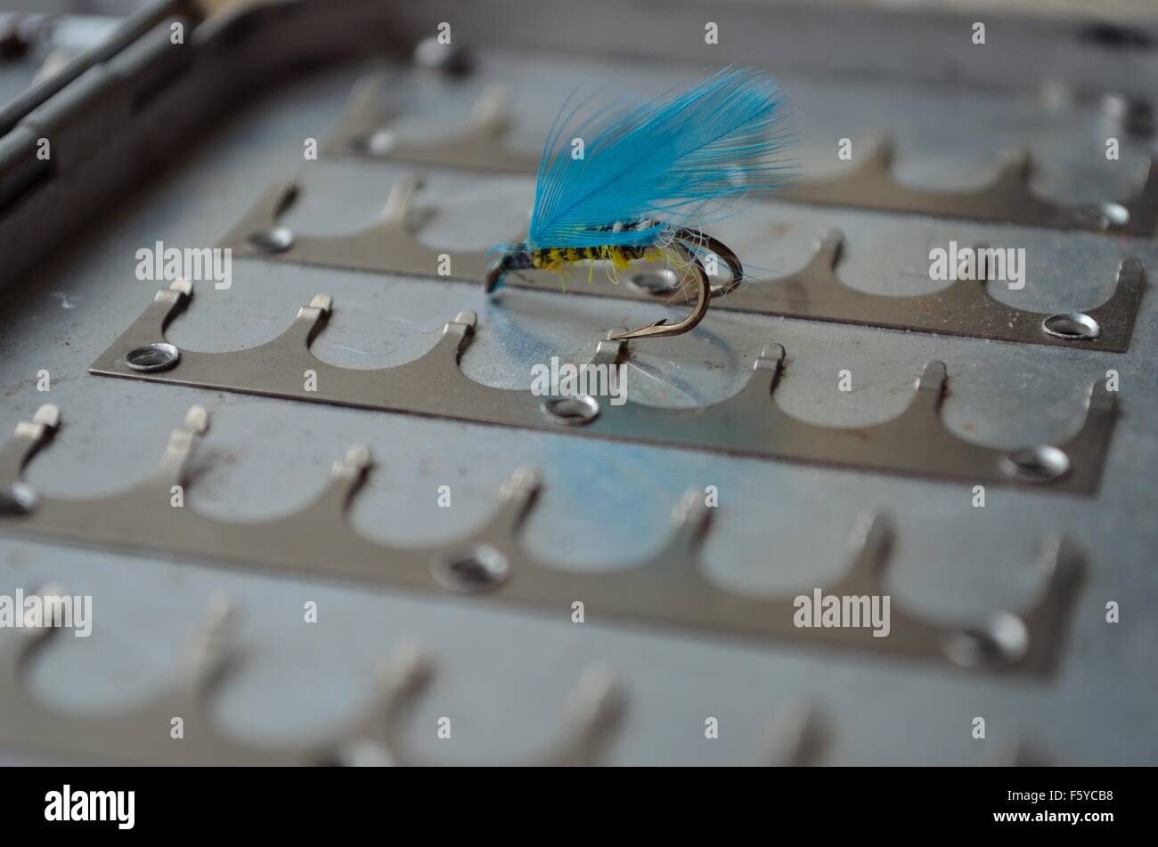 Flie fishing hi-res stock photography and images - Alamy