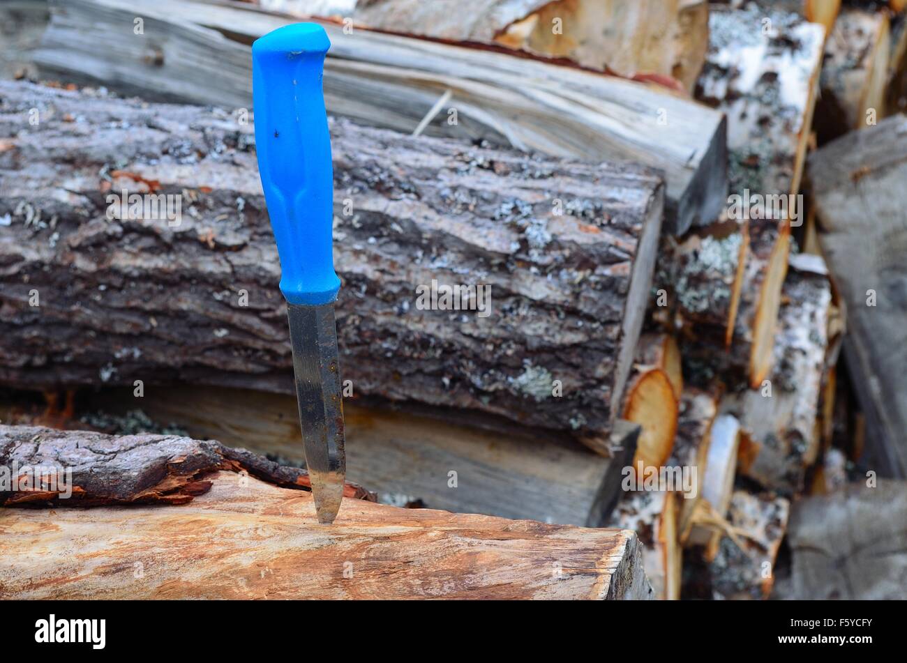 knife blade stuck in tree log Stock Photo - Alamy