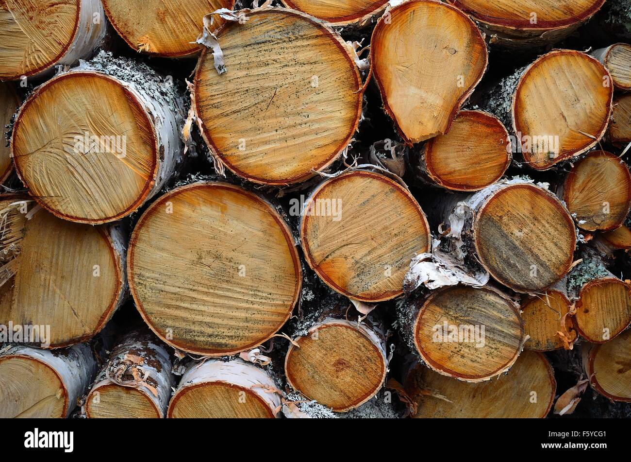 birch log firewood stack background texture Stock Photo - Alamy