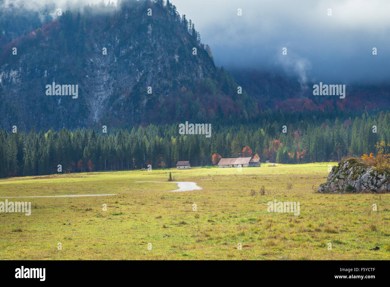 two girls walking in the forest in the italian alps Stock Photo - Alamy