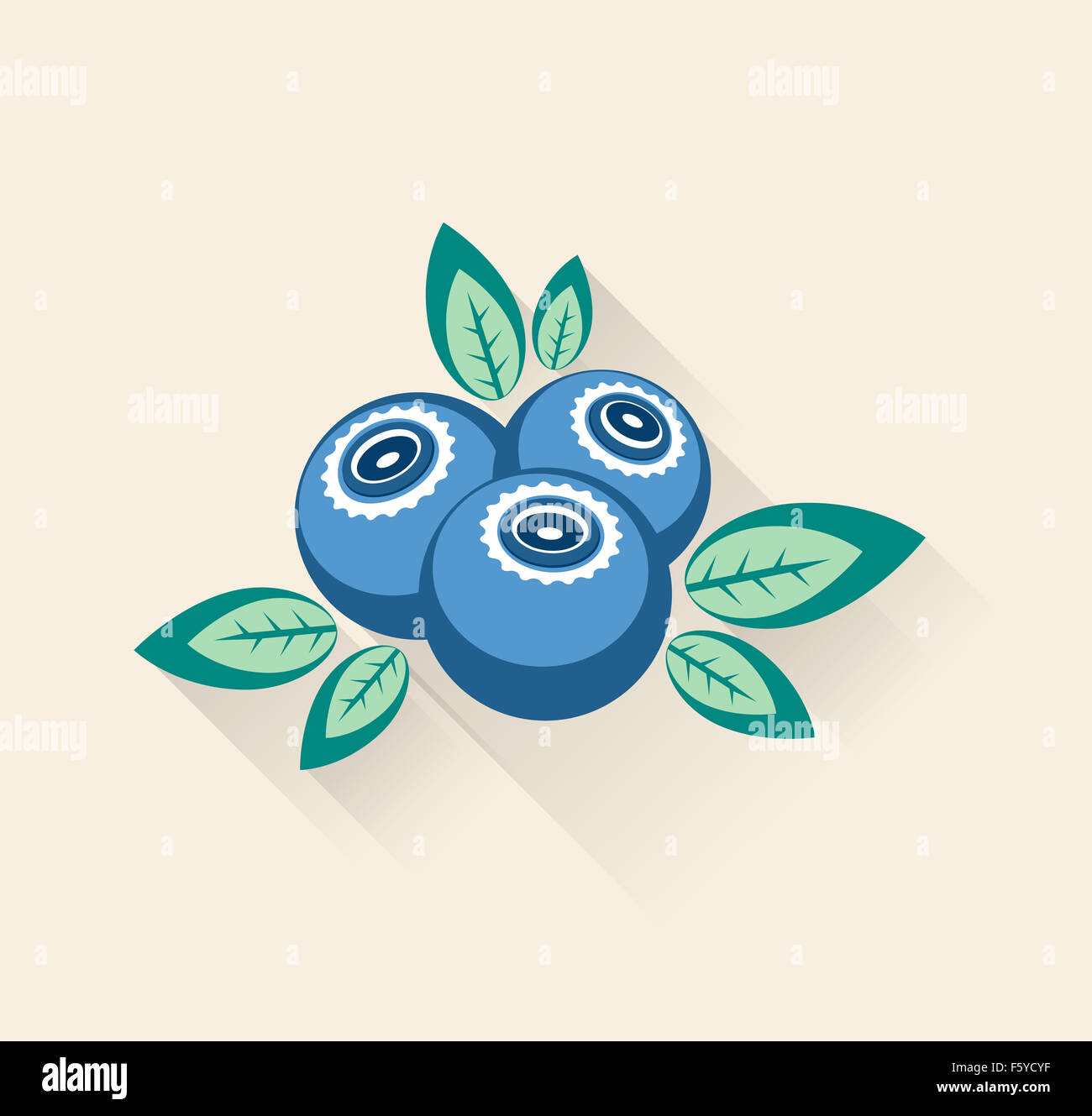 Background with blueberry, green leaves and long shadows Stock Photo ...