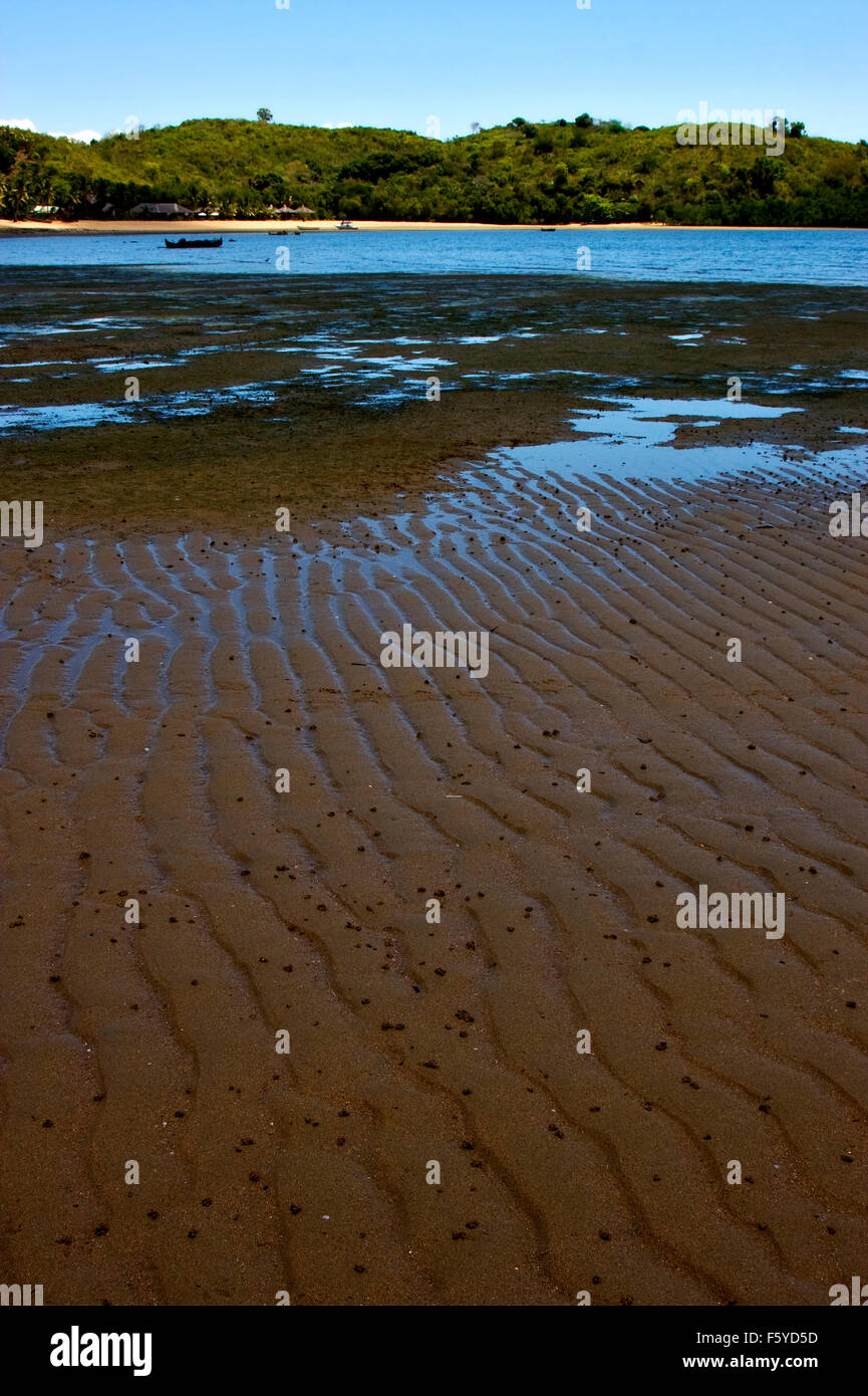nail tree boat sand lagoon tropical and coastline in madagascar nosy be ...
