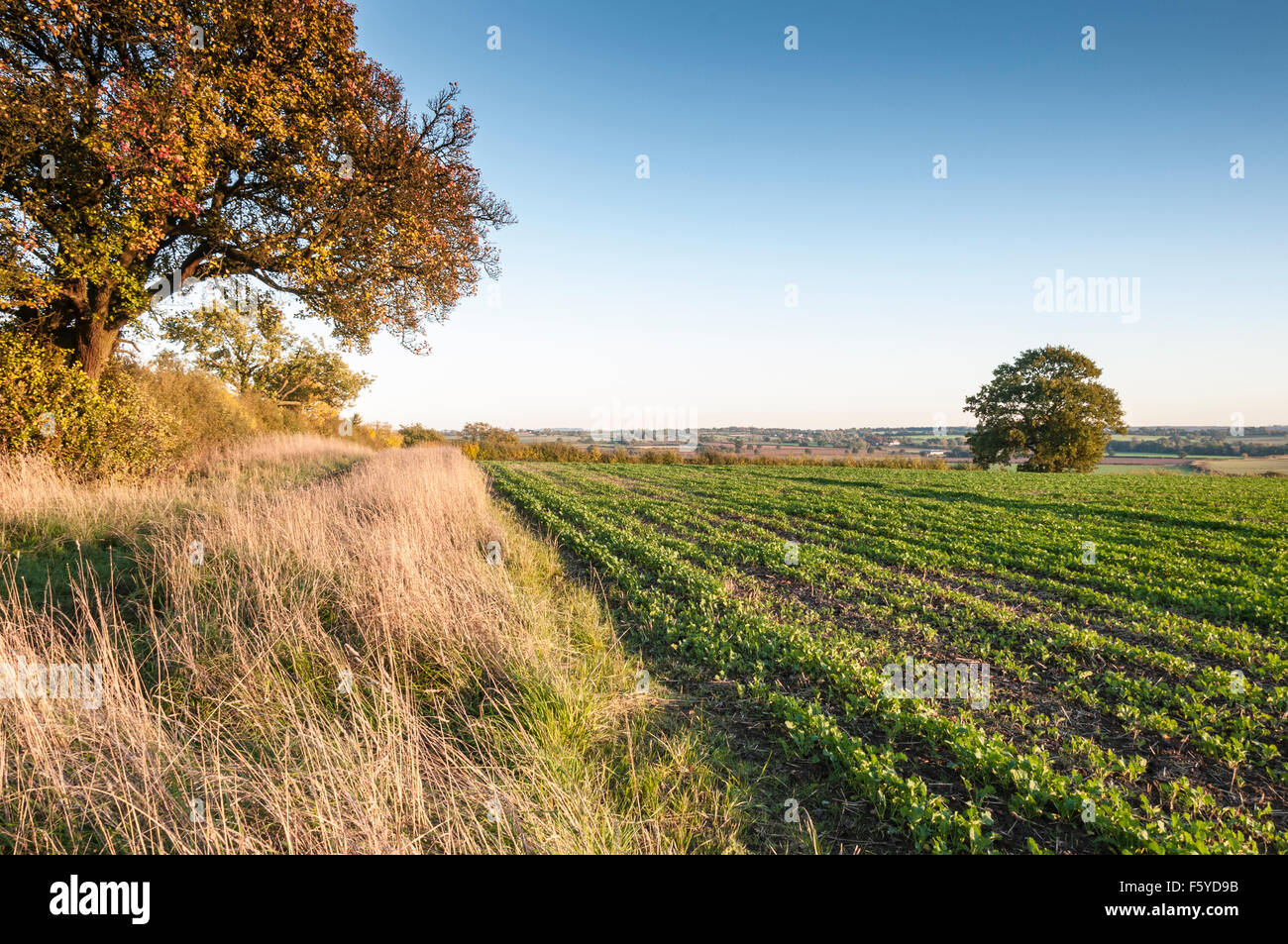 Cubbington stop hs2 action group hi-res stock photography and images ...