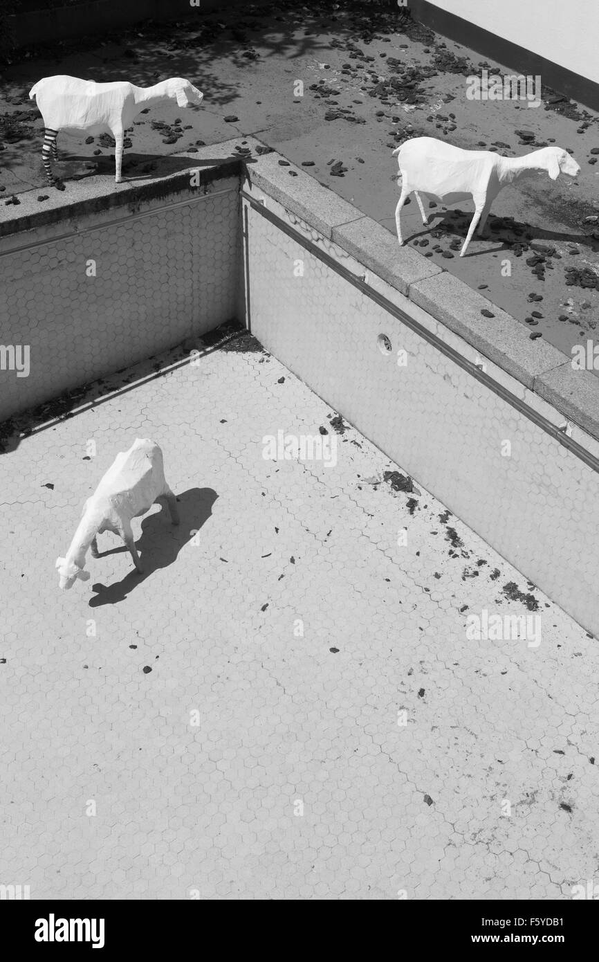 Abstract image with sheep figures on an empty swimming pool vertical ...