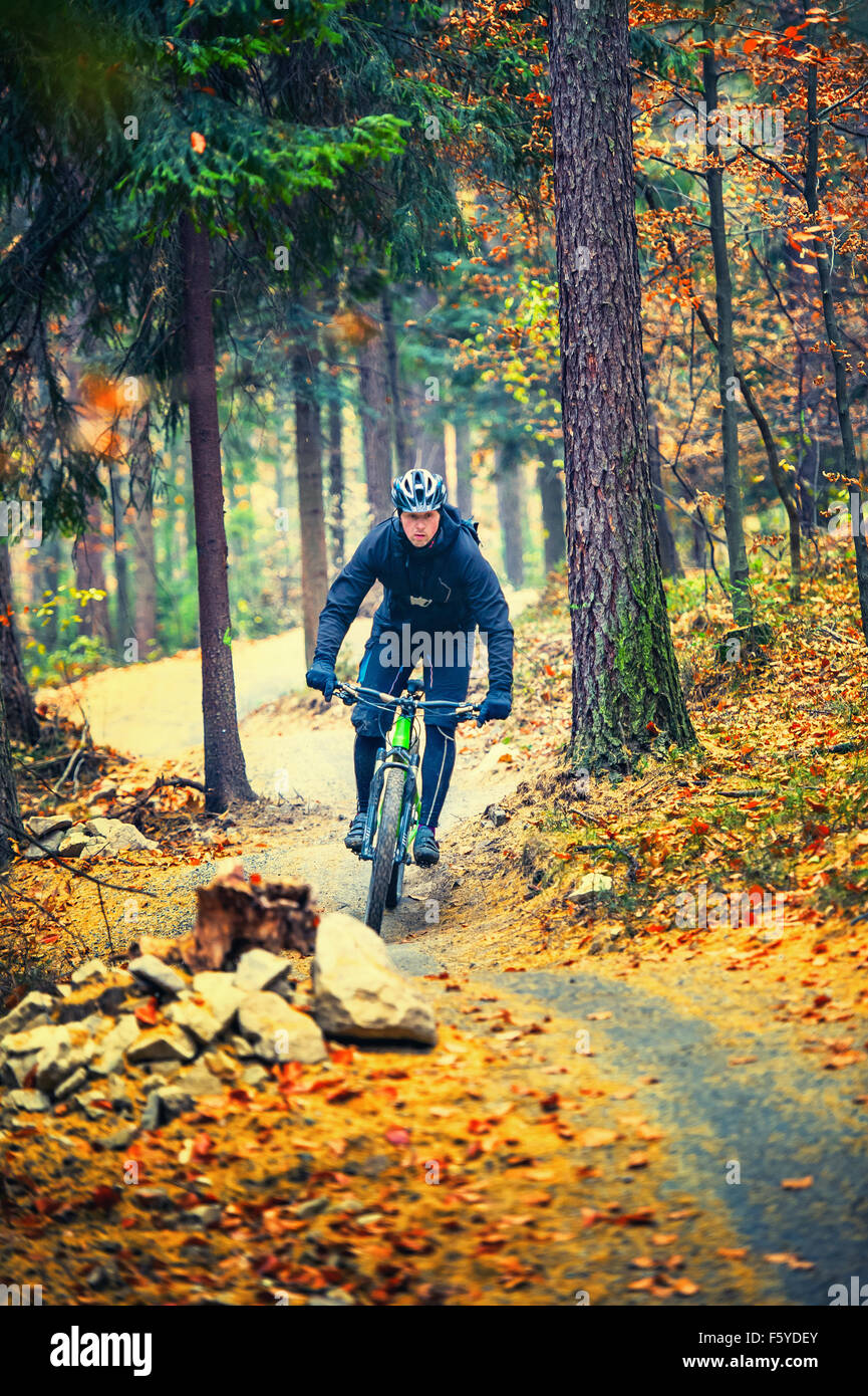 mountain biker riding in autumn forest Stock Photo - Alamy