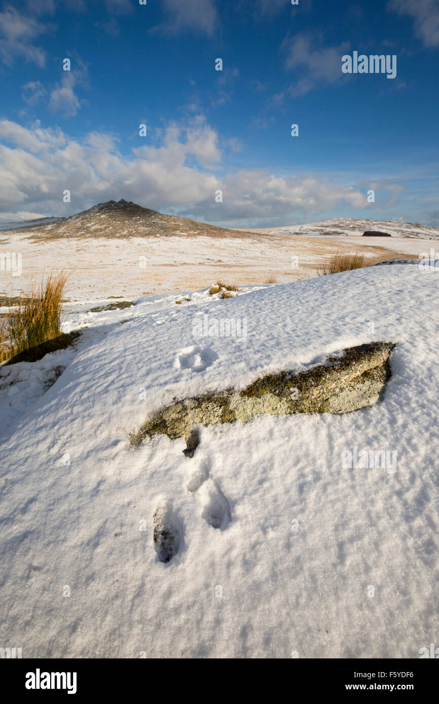 Roughtor; in Snow; Bodmin Moor; Cornwall; UK Stock Photo - Alamy