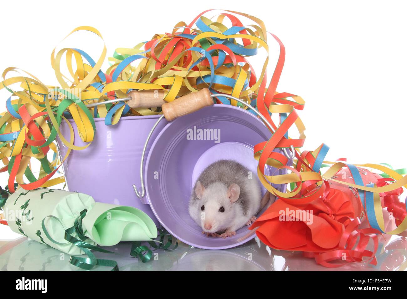 Fancy buckets hi-res stock photography and images - Alamy