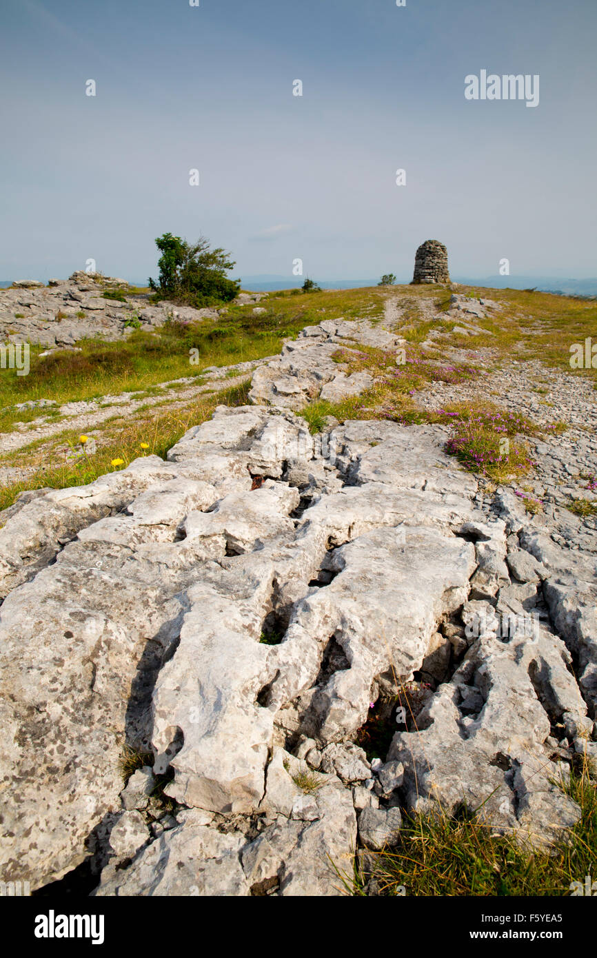Whitbarrow Scar; Limestone Pavement Cumbria; UK Stock Photo - Alamy