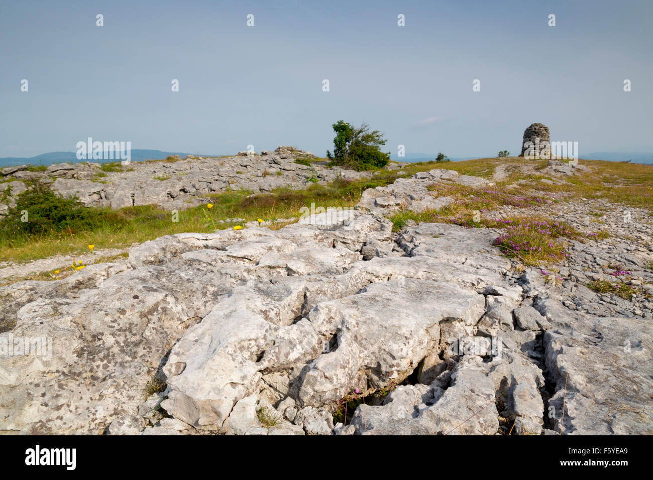 Whitbarrow Scar; Limestone Pavement Cumbria; UK Stock Photo - Alamy